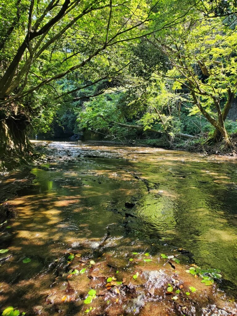 【スタッフブログ】萩はサッカーと筋トレの二刀流(/・ω・)/ – スポーツクラブアクトス – AXTOS