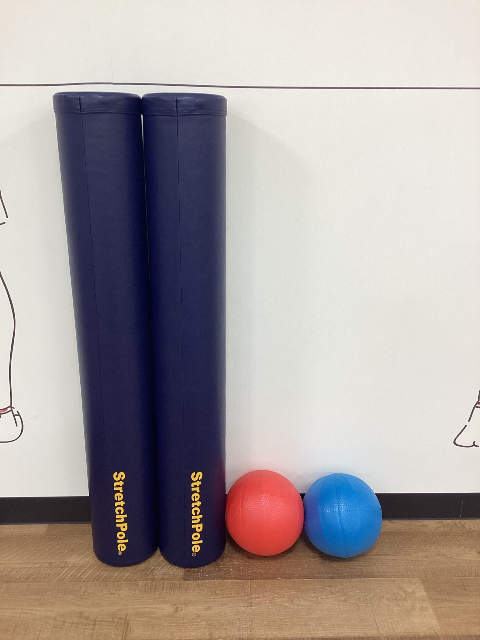 新トレーニングツール導入！ – スポーツクラブアクトス – AXTOS